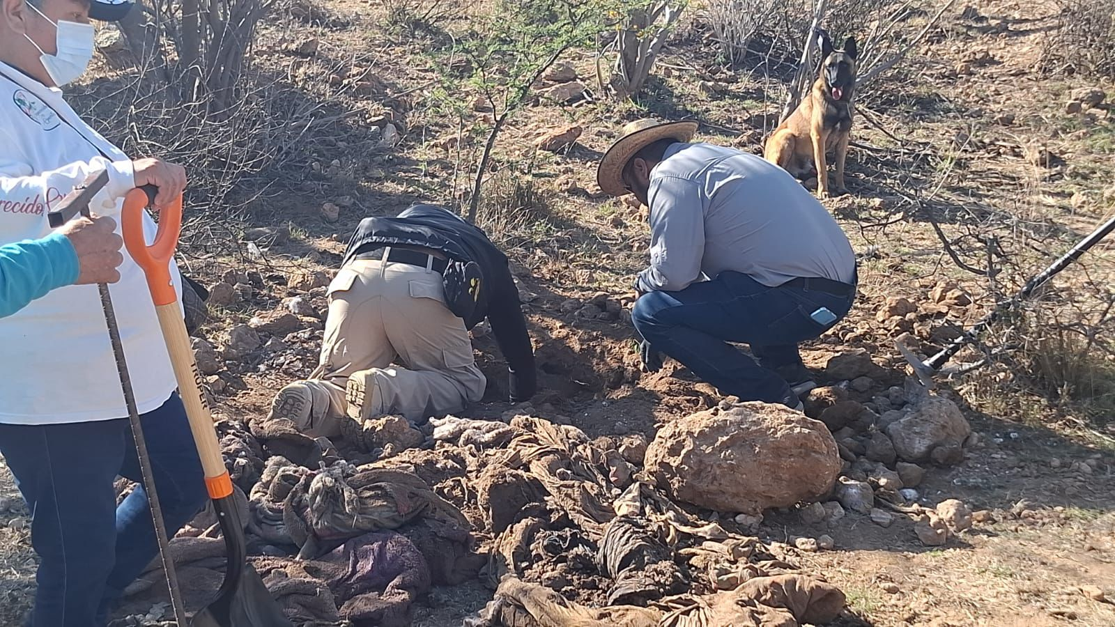 Desaparecidos Querétaro localizó huesos humanos en La Llave, San Juan ...
